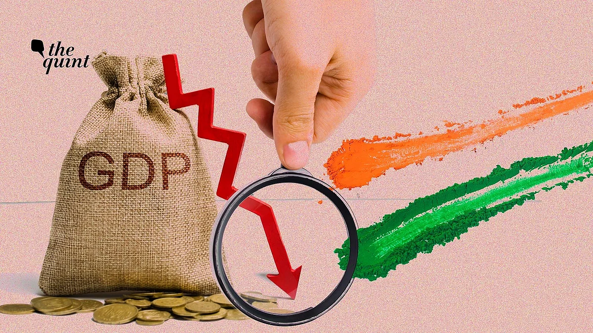 India s GDP Fall Low Household Consumption Is A Cautionary Tale OPINION india-s-gdp-fall-low-household-consumption-is-a-cautionary-tale-opinion