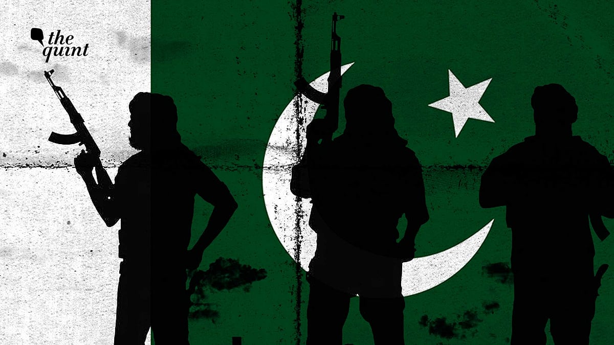 Pak Terrorists Have Had A ‘Great’ Year Despite Islamabad’s Crackdown ...