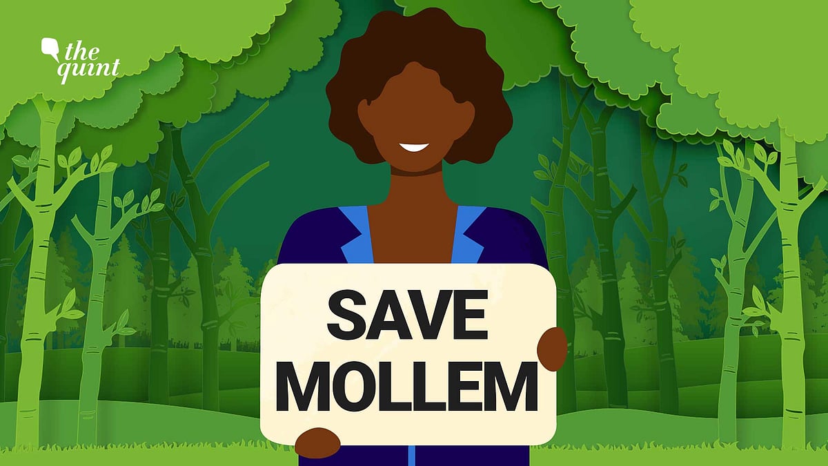 What is Happening In Mollem National Park & Why Are Goans Worried?