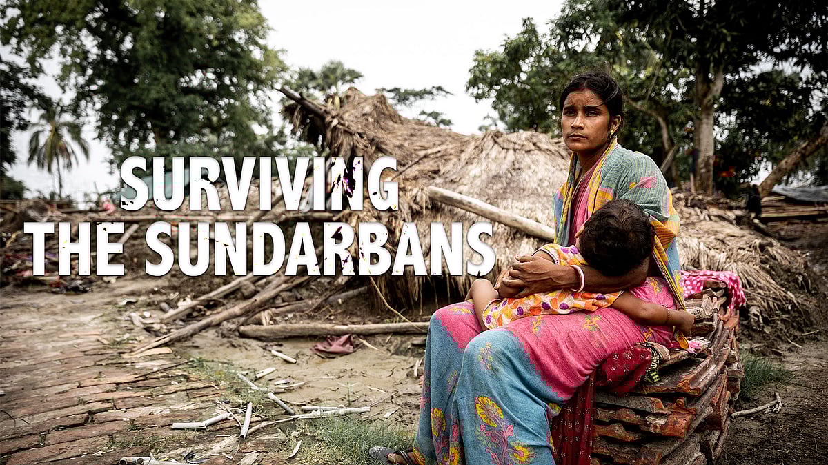 Video | DocQ: Surviving The Sundarbans: Tales Of The Delta's Climate ...