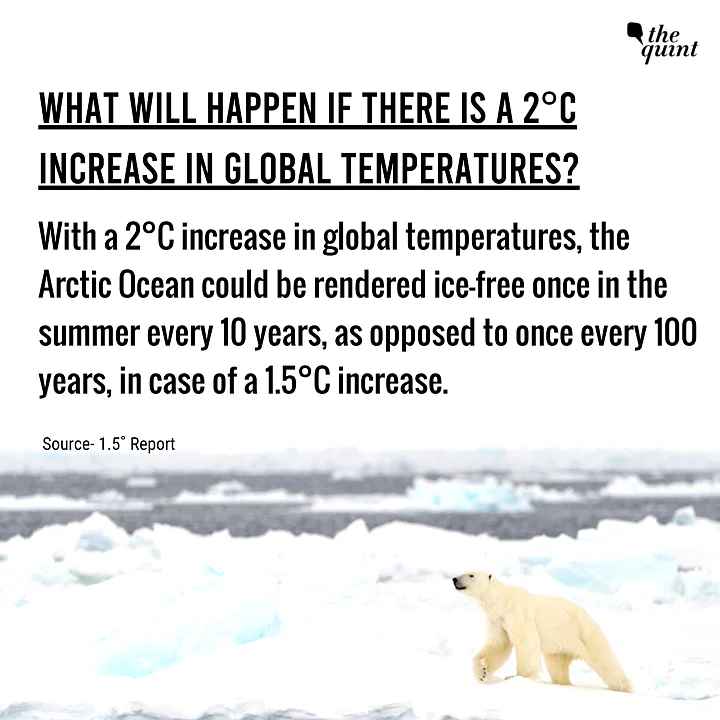 Climate Crisis: What Does a 2 Degree Celsius Rise in Global Temperature ...