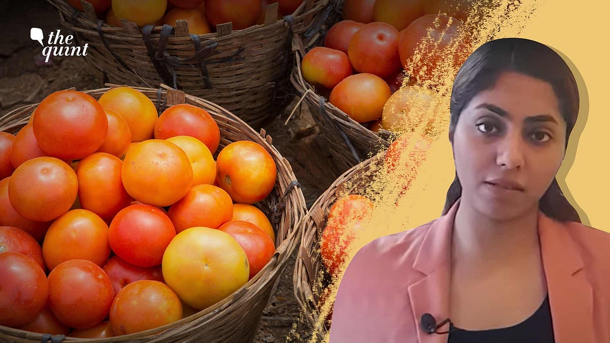 New Gold? Tomato Prices Reach Rs 100/kg In South India