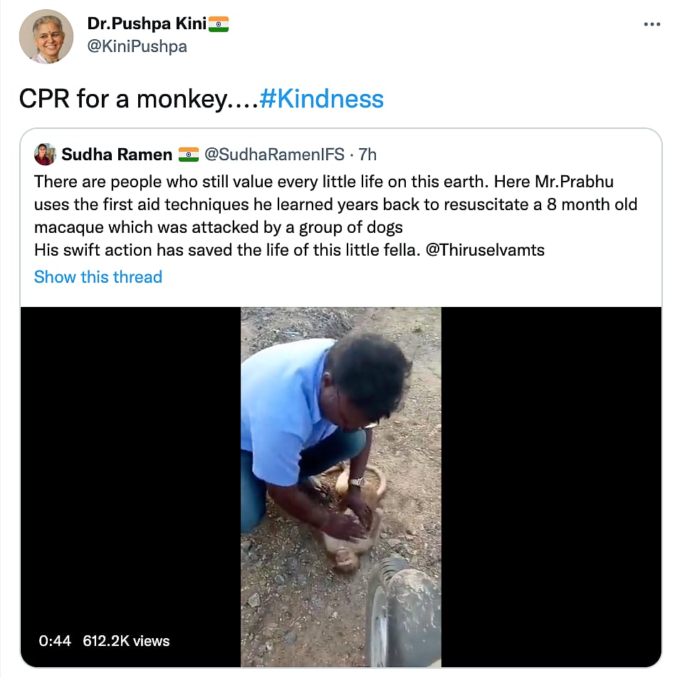 Watch: Man Revives Monkey by Performing CPR, Gets Lauded Online