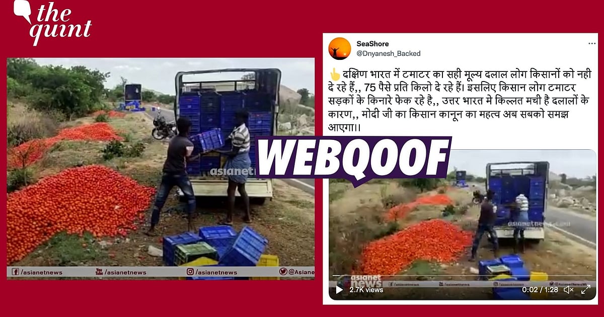 Fact Check of Video of Farmers Throwing Tomatoes: Old Video of Farmers ...