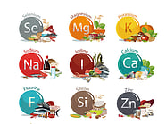 Foods Rich In Minerals You Should Include In Your Diet Foods Rich In Minerals You Should Include In Your Diet