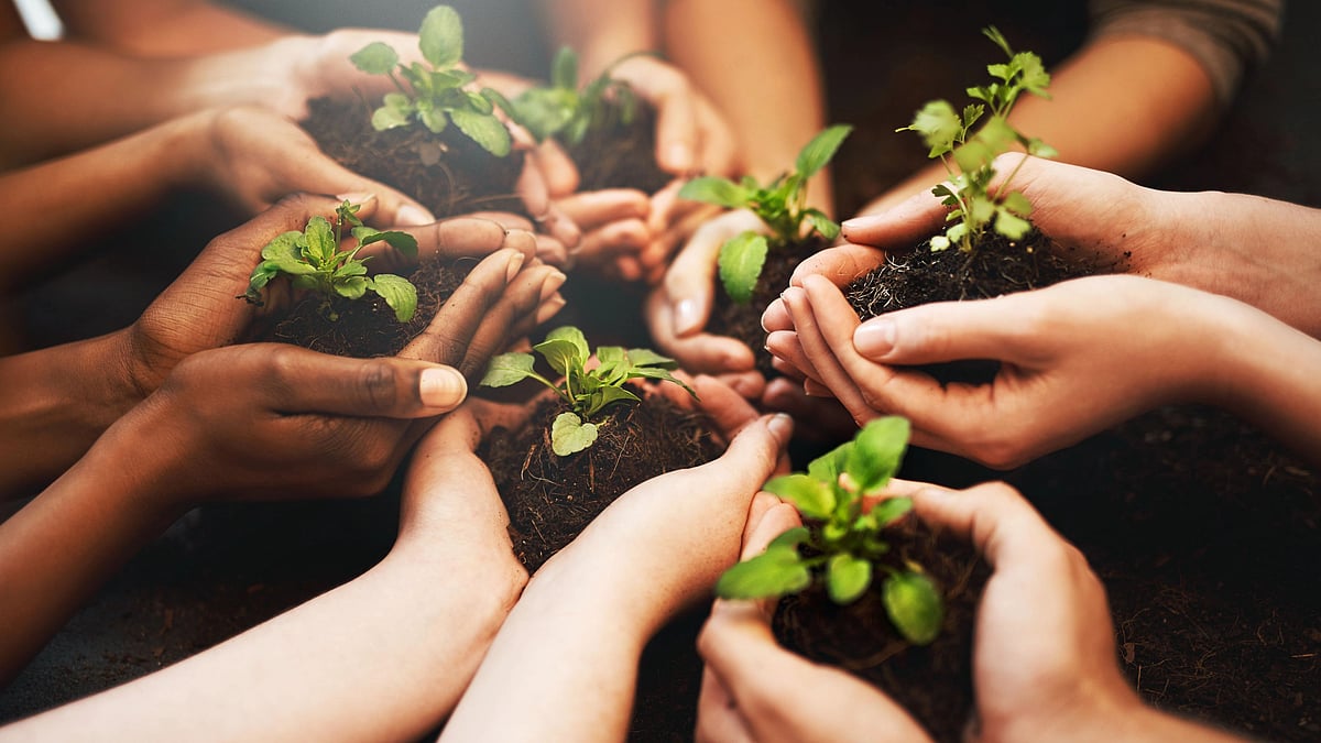 Climate Change Google Doodle | World Earth Day 2022: Google Doodle ...