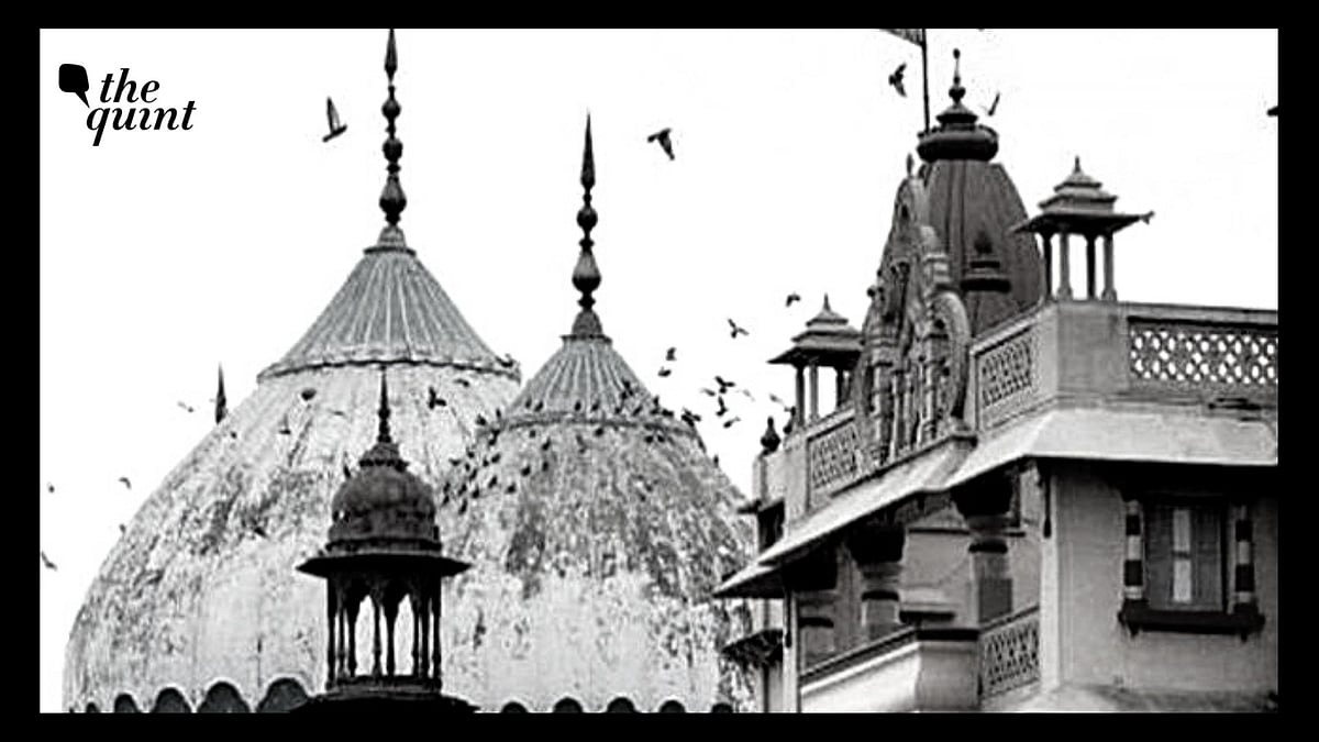 Seal, Survey, Remove: The Petitions Filed in Connection With Shahi ...