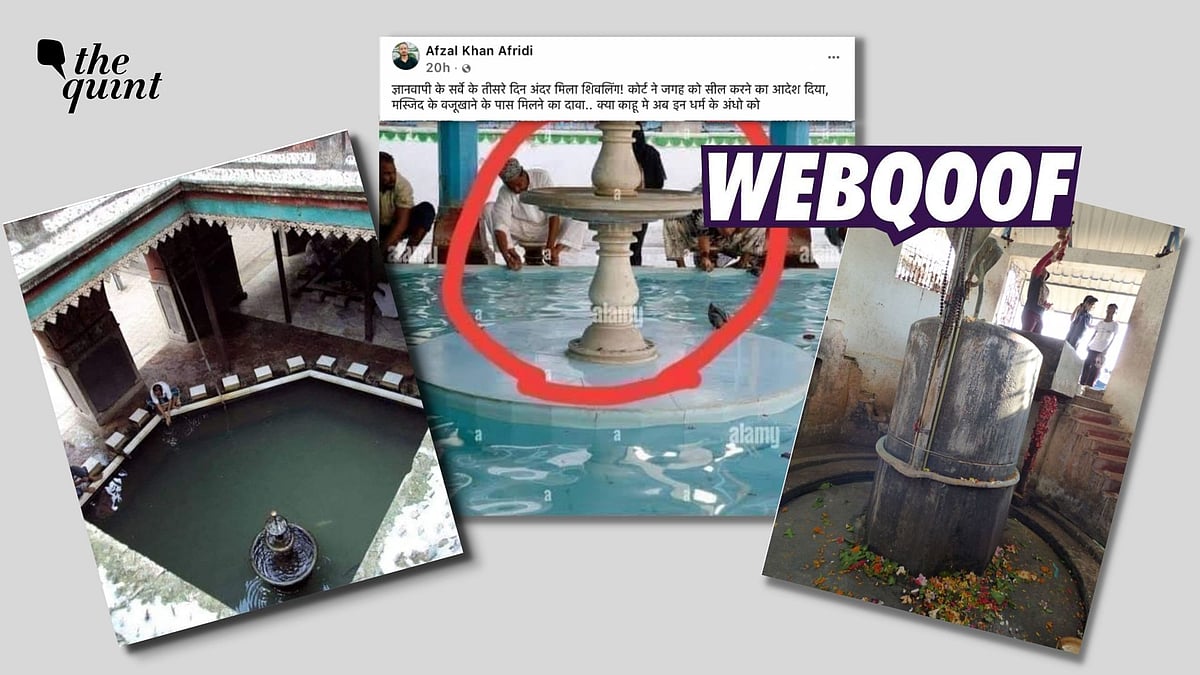 Fact-Check | This Photo Of Nandi Is Not From Varanasi's Kashi ...