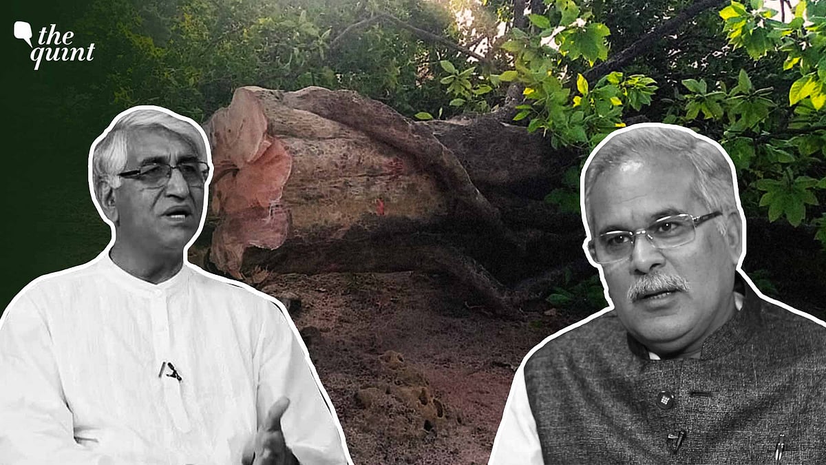 Congress' Changing Stance on Coal Mining in Hasdeo Aranya Forest ...