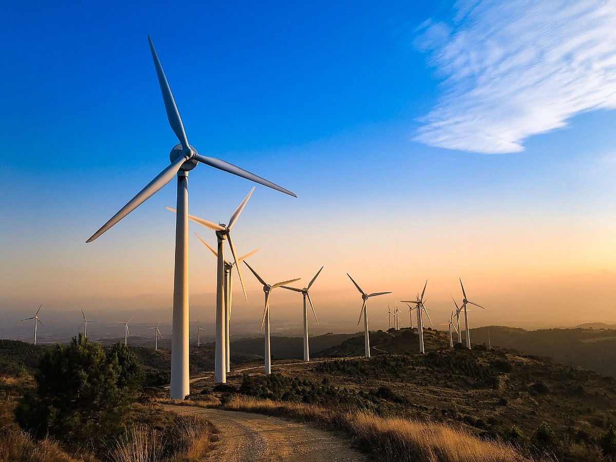 World Wind Day 2022: Theme, Quotes, History, Significance & Facts