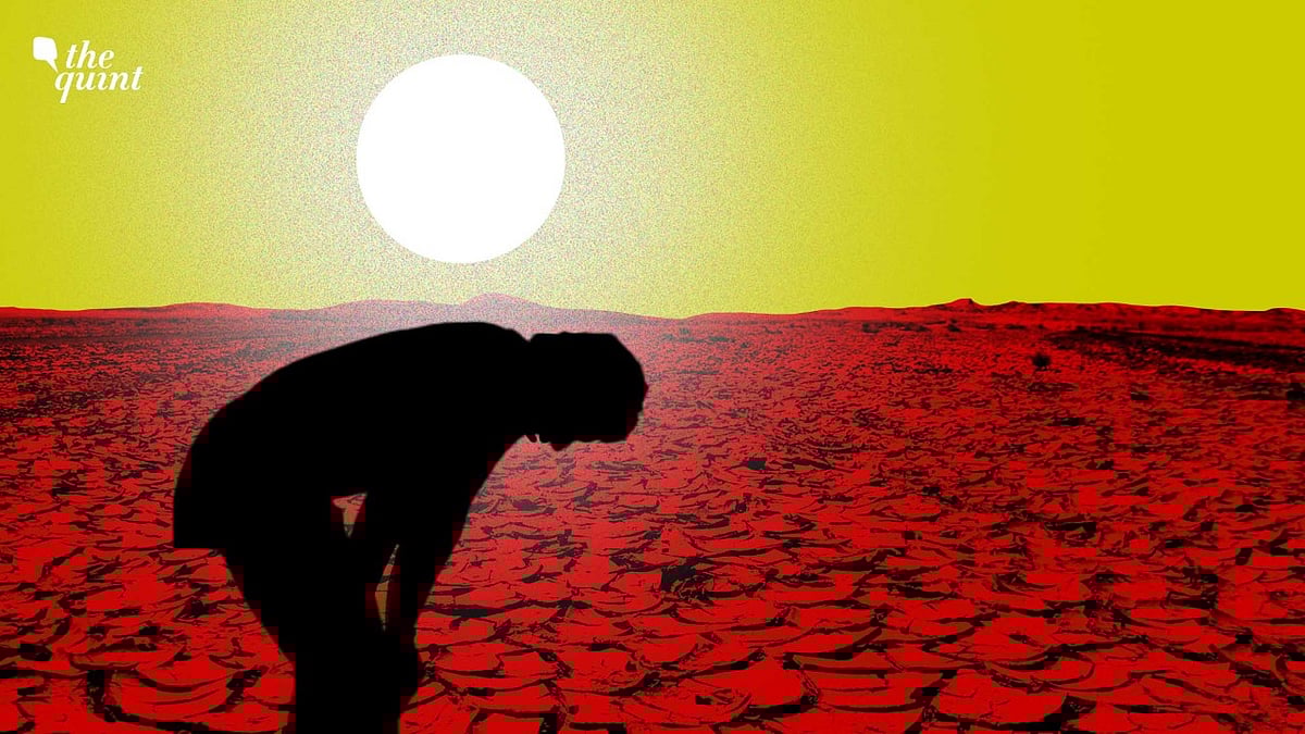 Wet Bulb Temperature: Rising Heat and Humidity Puts Millions of Indians ...