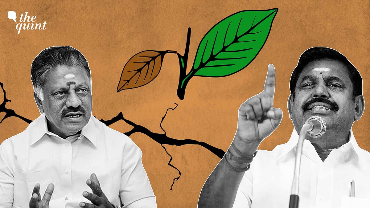 'Deluge' Nigh? AIADMK General Council May See EPS, OPS Face-Off Over ...