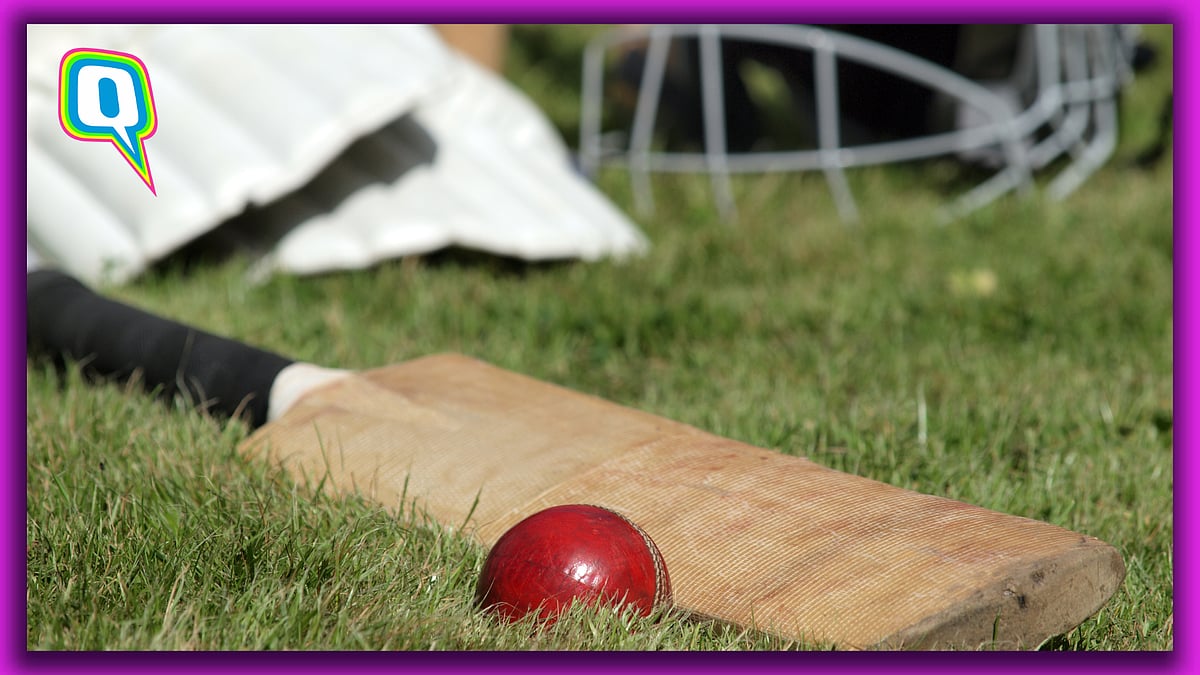 Gujarat Scammers Dupe Russian Betters by Creating Fake IPL; Internet Amused