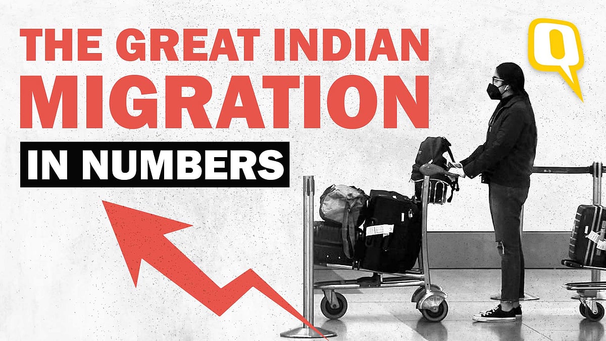 The Great Indian Migration: How Many People Gave Up Indian Citizenship ...