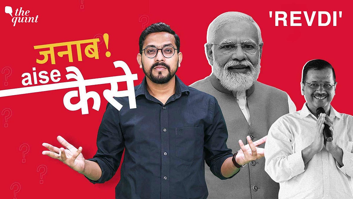 Is It Right To Reject Public Welfare Policies As 'Revdi Culture'?