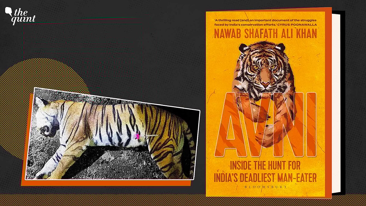 From Hunter's Mouth: Hair-Raising Encounter With India's Most-Wanted ...