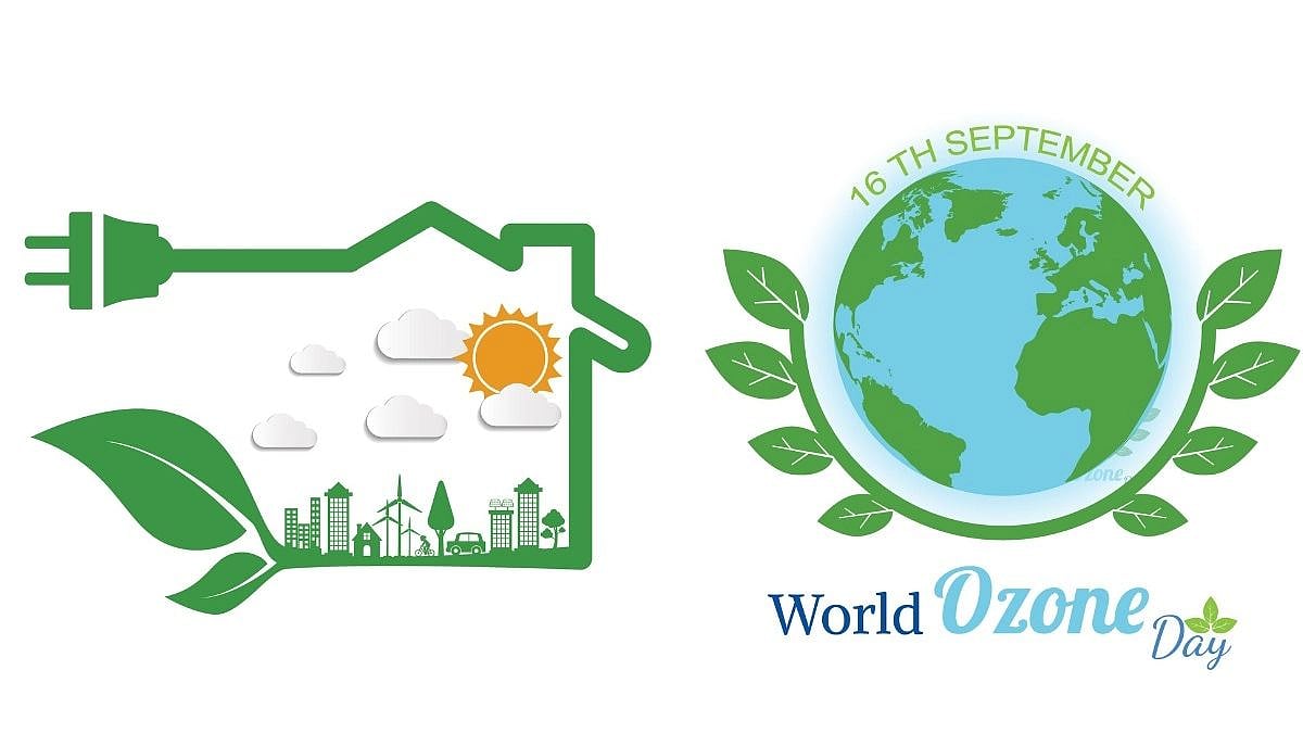 World Ozone Day: Can a Global Afforestation Drive Stall Climate Change?