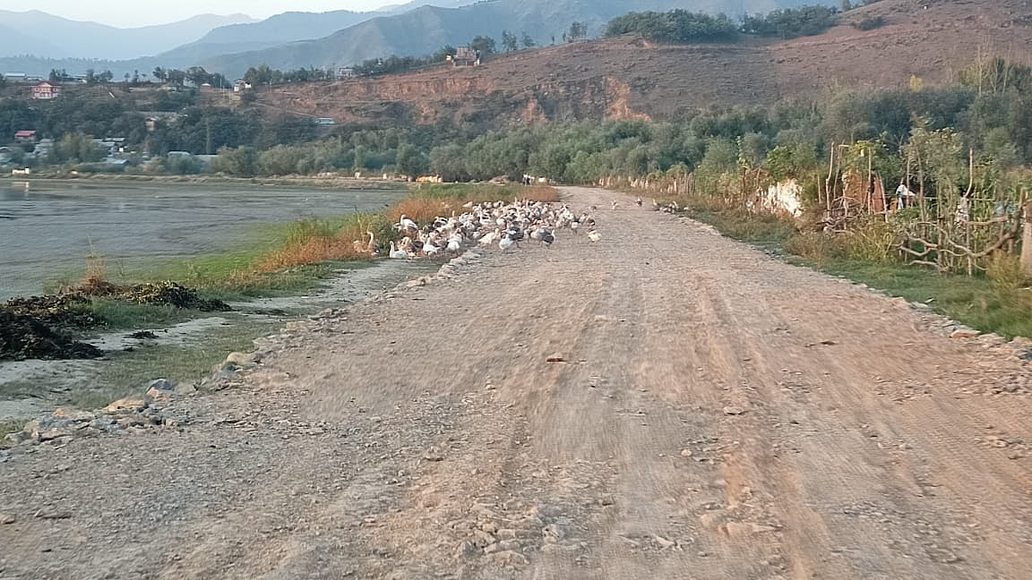 'Where are the Fish?' Ask Fishermen of Dying Wular Lake, Struggling to ...