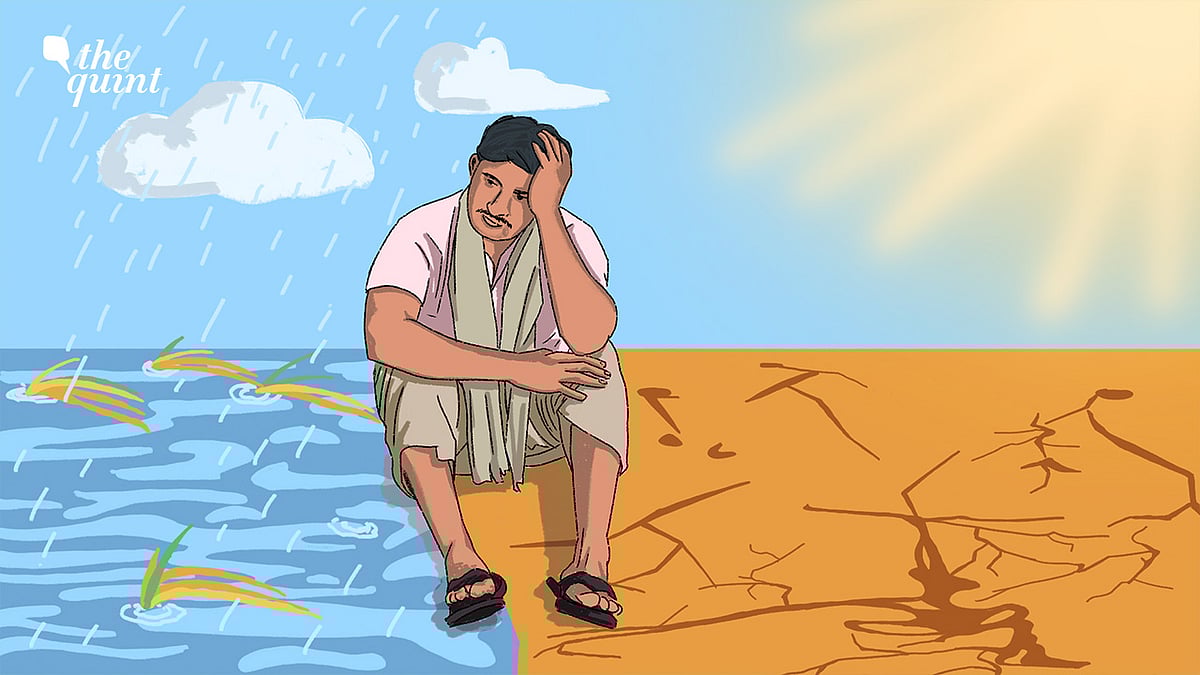 Crop damage News: Latest Crop damage News, Top Stories, Articles ...