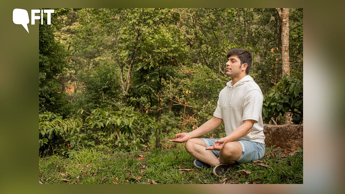 Forest Bathing: How Japan's Shinrin-Yoku Is Becoming Popular in India