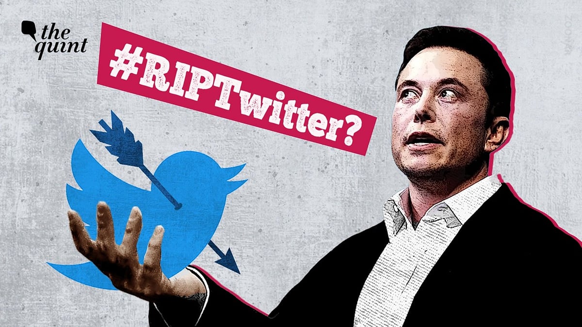 Ultimatum, Resignations, RIP Memes: Elon Musk's Three Nails in Twitter ...