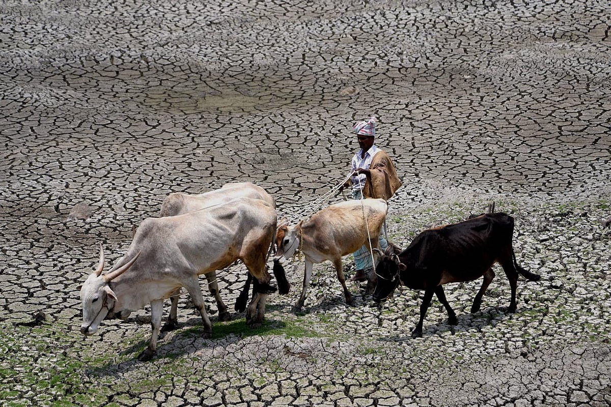 Climate Change Effect: What Will India Look Like 50 Years From Now?