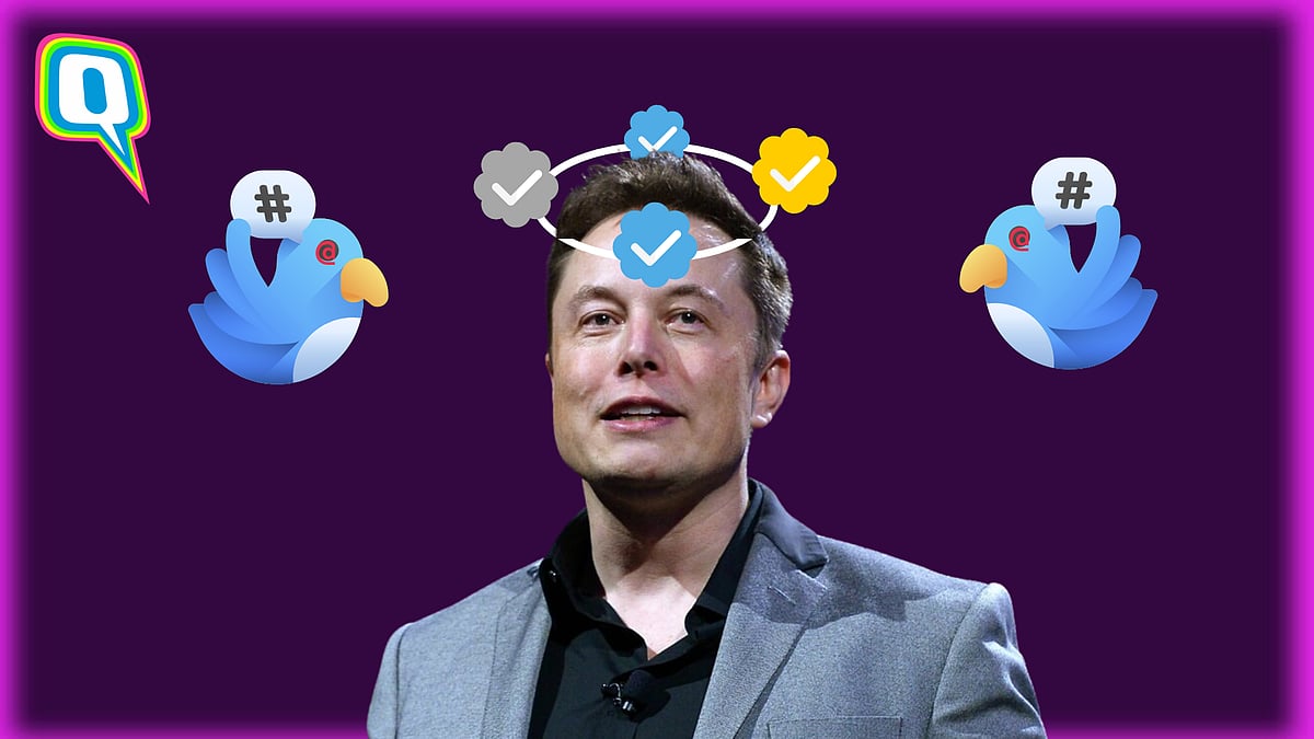 Netizens Have Hilarious Reactions to Twitter Introducing Gold, Grey ...