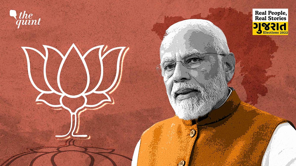 Gujarat Polls: BJP Winning 17 of the 19 Seats With Significant Muslim ...