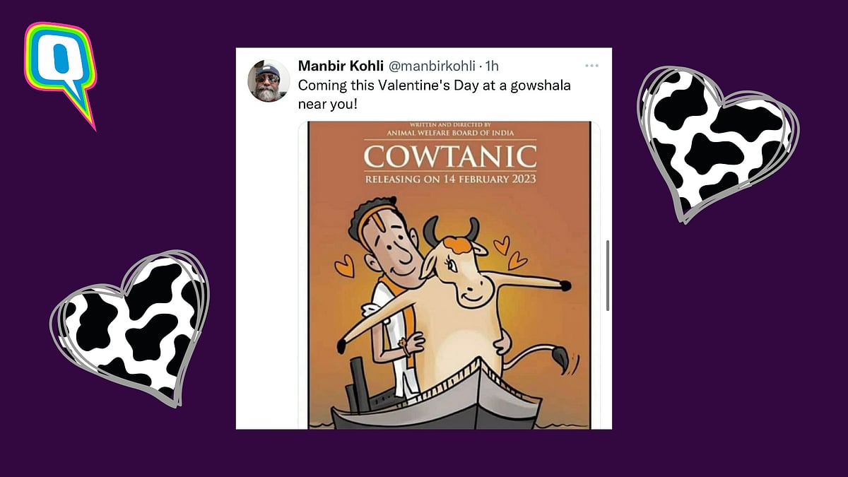 Govt Urging Citizens To Hug Cows On Valentine's Day Sparks Twitter Meme ...