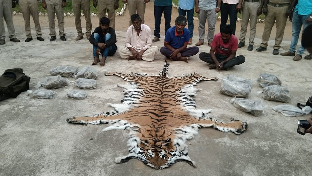 Security Breach, Elaborate Plan & Gang Arrest: Story Behind TN Tiger ...