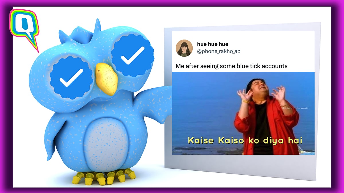 Memes Flood the Internet As Twitter Blue Launches in India