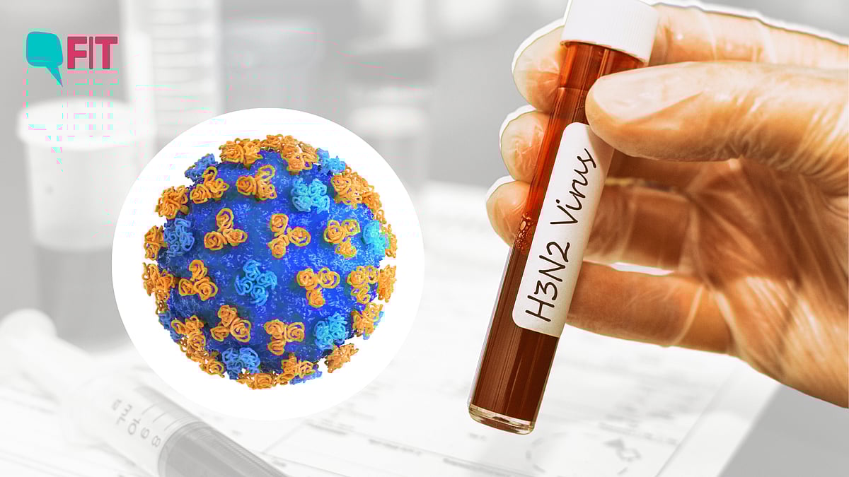 H3N2 Surge In India: What You Should Know About The H3N2 Influenza ...