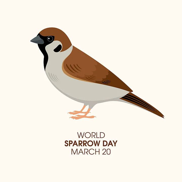 World Sparrow Day 2023: Date, Theme, History, Significance, Interesting ...
