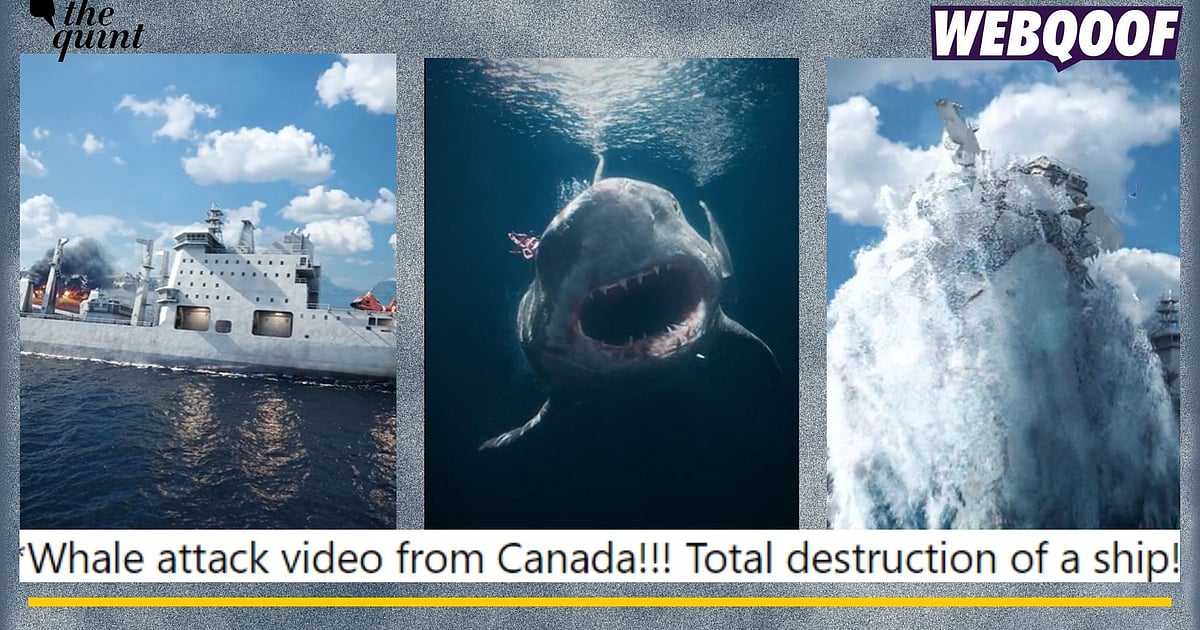 Fact-check |Animated Video of a Whale Destroying Ship In an Ocean Goes ...