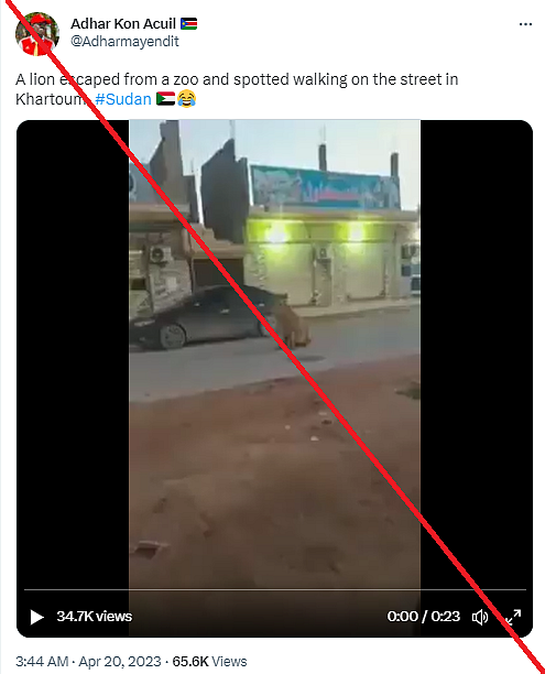 Fact-Check | Old Video of Lion Walking on Streets in Libya Shared as ...