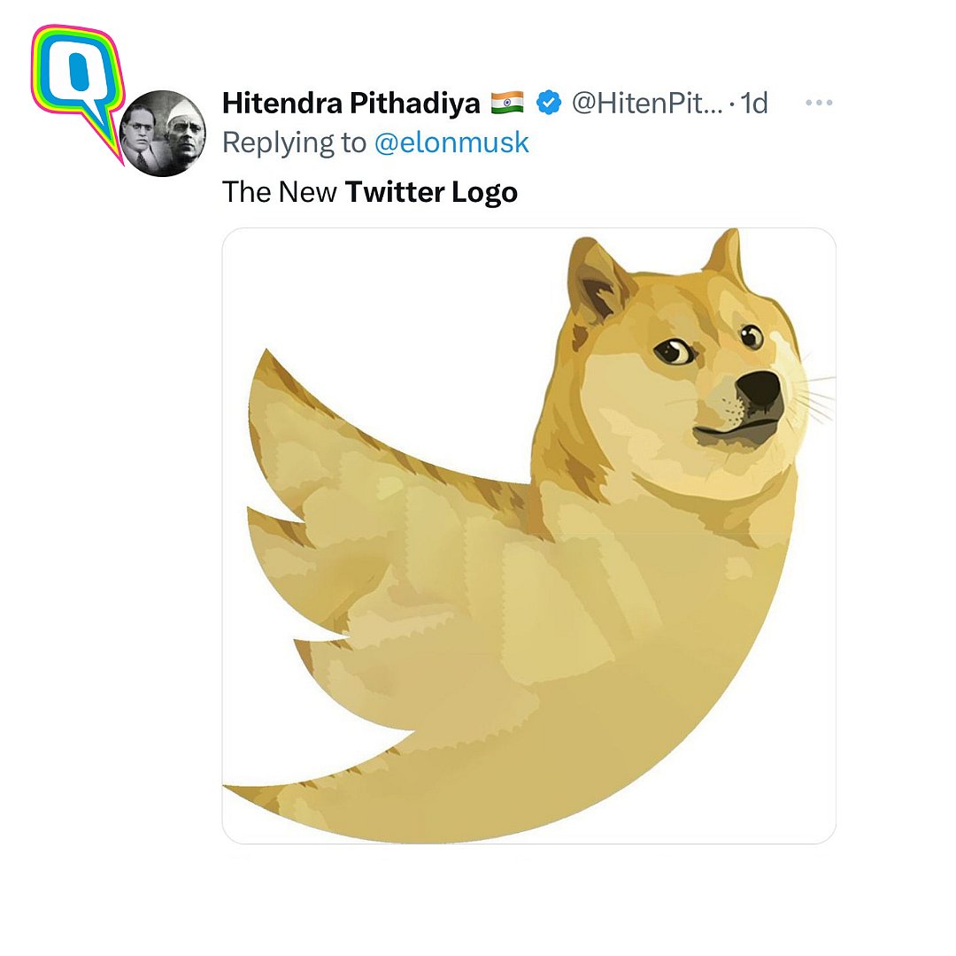 Twitter's Sudden Logo Change To 'Doge' Meme Sparks Hilarious Responses ...