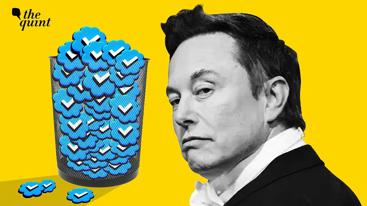 No Money, No Blue Tick: Twitter Strips Verification from Users, Why Is ...