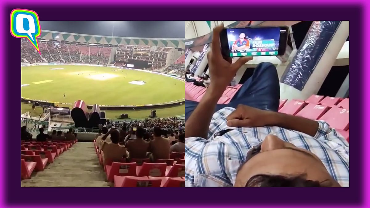 IPL Fan Goes Viral For Choosing Phone Screen Over Live Stadium Experience