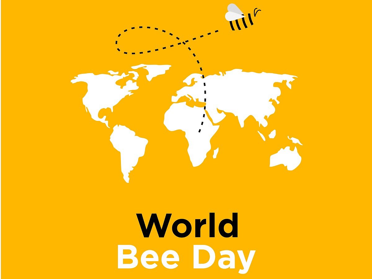 World Bee Day 2023: Quotes, Wishes, Images, Messages, SMS, WhatsApp Status