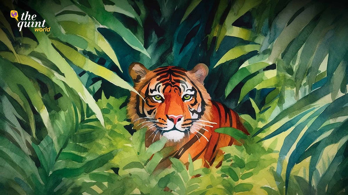 Tiger Protection in India Also Saved 1 Million Tonnes of Carbon ...