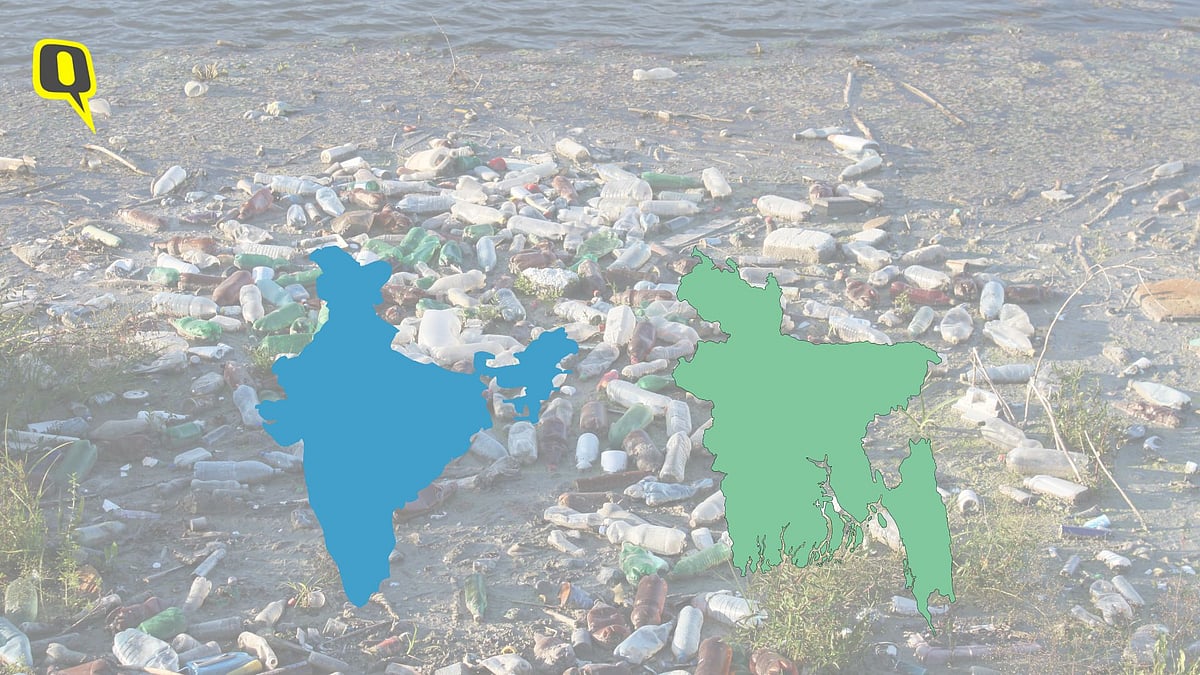 World Environment Day: How Can India Learn From Bangladesh to Deal With ...