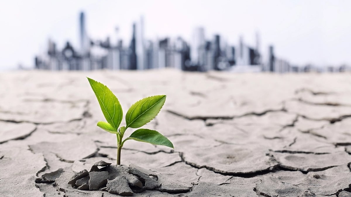 World Environment Day 2023: Date, Theme, History, Importance, Ways to ...