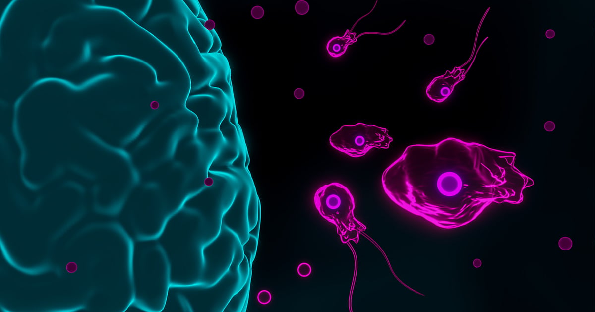 15-Year-Old Kerala Boy Dies From ‘Brain-Eating Amoeba’: What Is Pam ...
