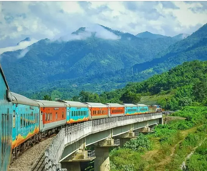 Video | India Unsolved Ep 1: Decoding Mass Bird Suicides in Assam's Jatinga