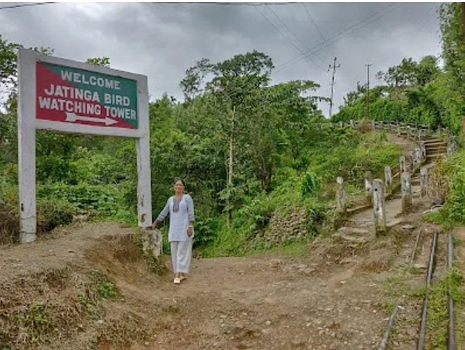 Video | India Unsolved Ep 1: Decoding Mass Bird Suicides in Assam's Jatinga