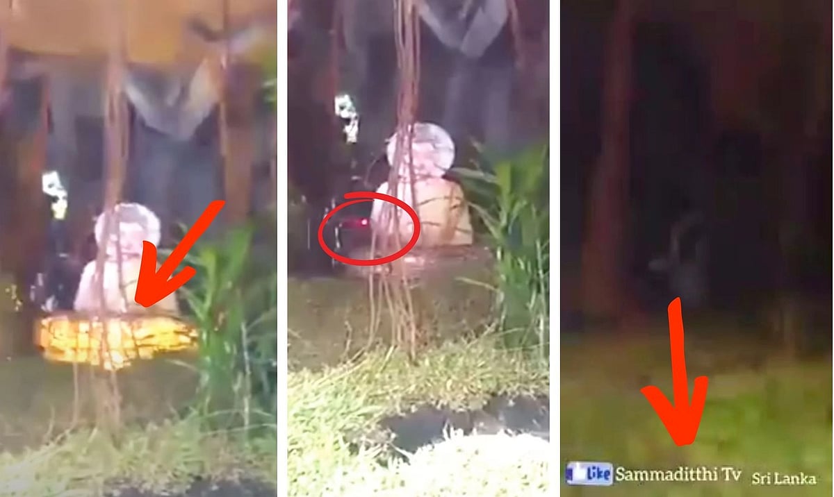 Fact-Check | No, This Is Not a Real Snake Protecting a Statue of Gautam ...