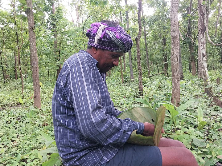 'When Rain Falls on My Leaf Hat': Forest Dweller on Growing Up With ...