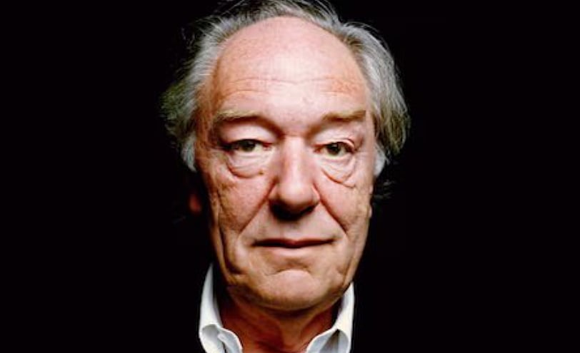 'Harry Potter' Actor, Michael Gambon, Known For Playing Dumbledore ...