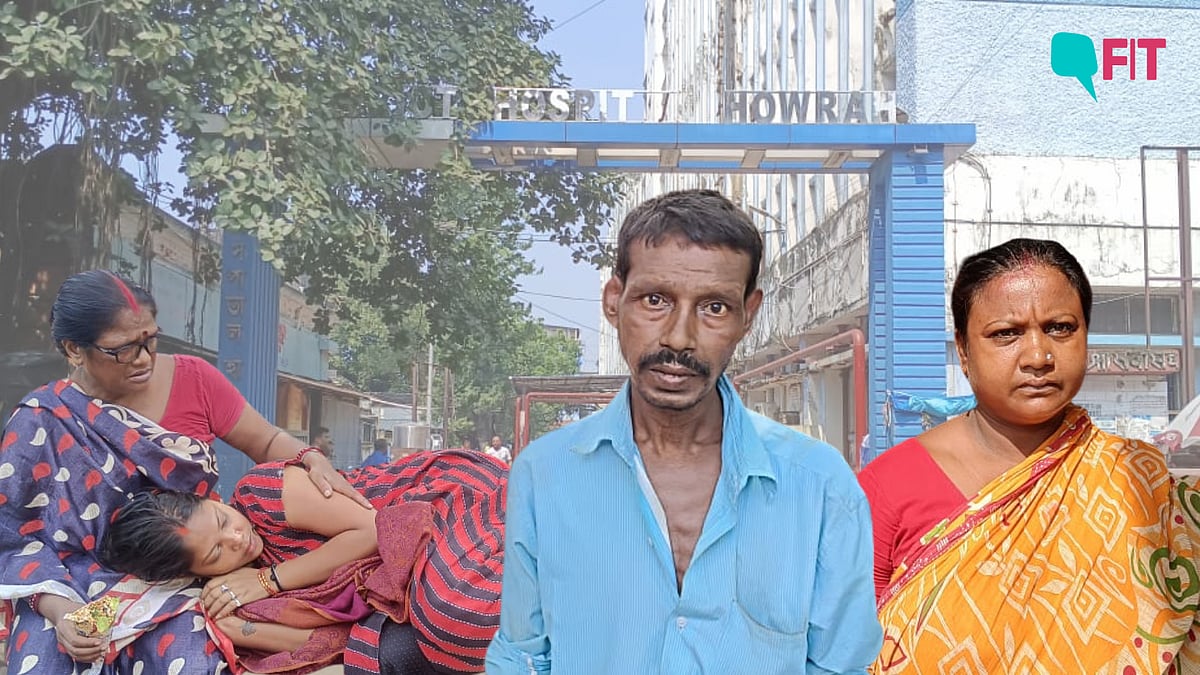 Dengue in West Bengal | Ahead of Durga Puja, Dengue Fever Claims 60 ...