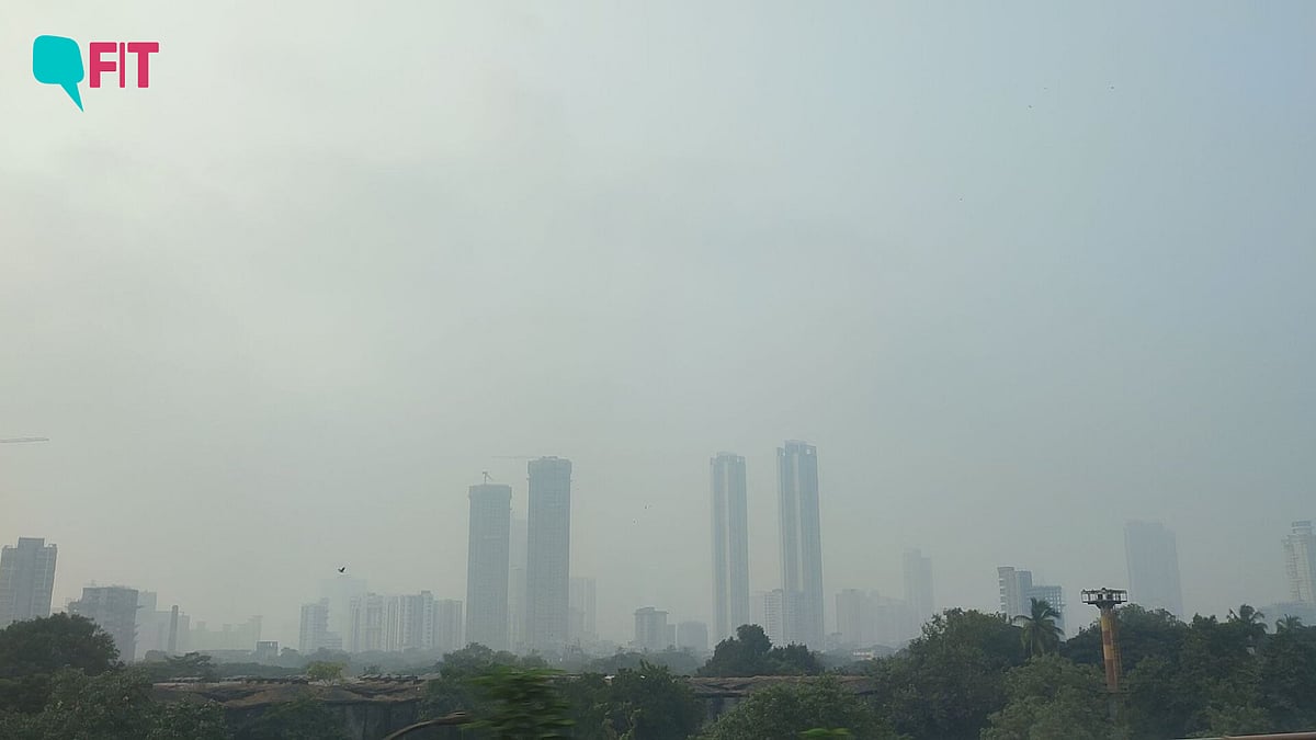 Infographic | Mumbai's Sinking Air Quality: Why Maharashtra Needs To ...